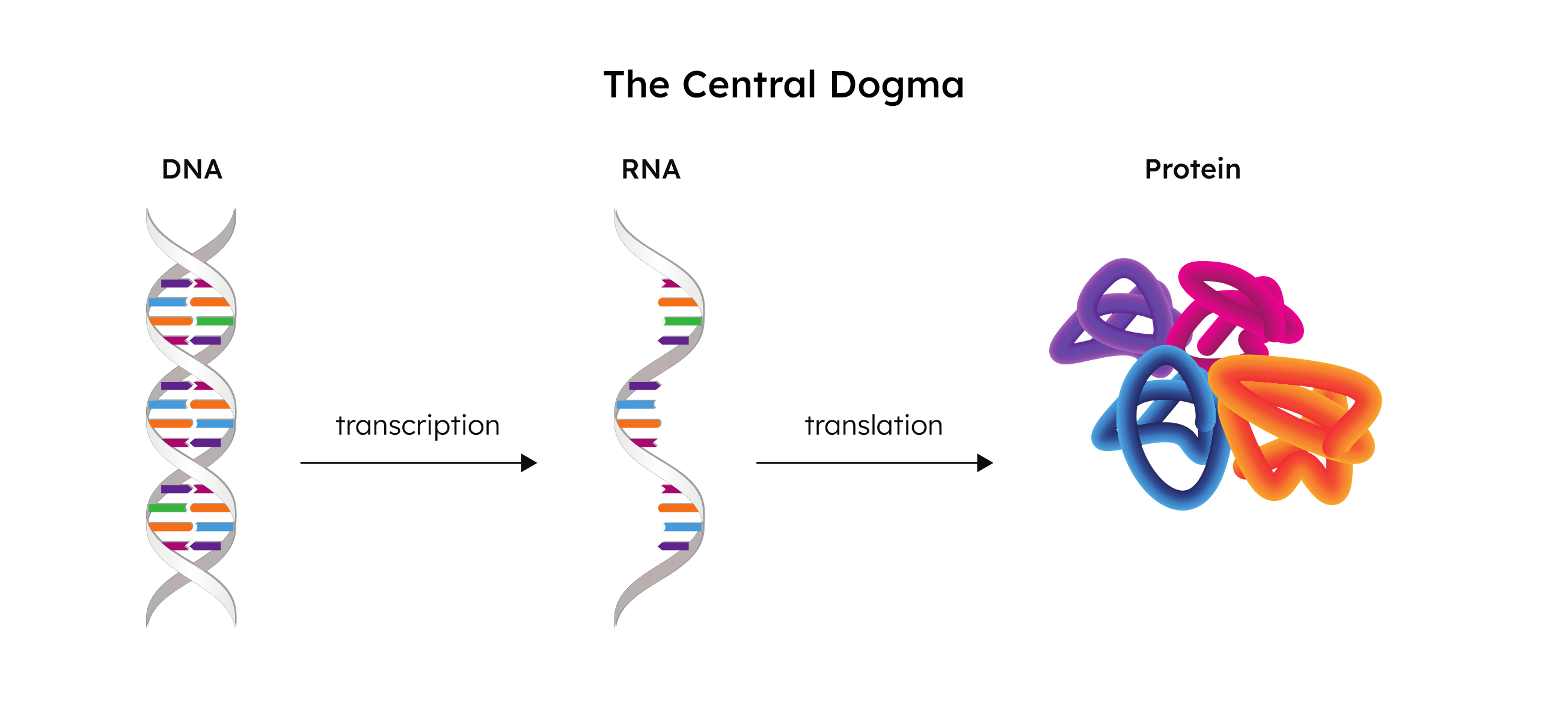 Whole-Transcriptome Analysis - Thyroid Nodules | Afirma® GSC